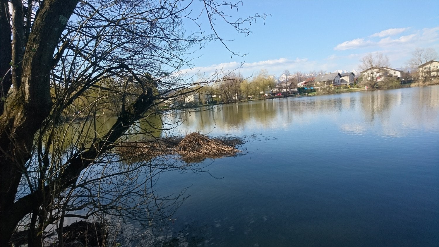 The pond of Koseze - Erratic engineeress
