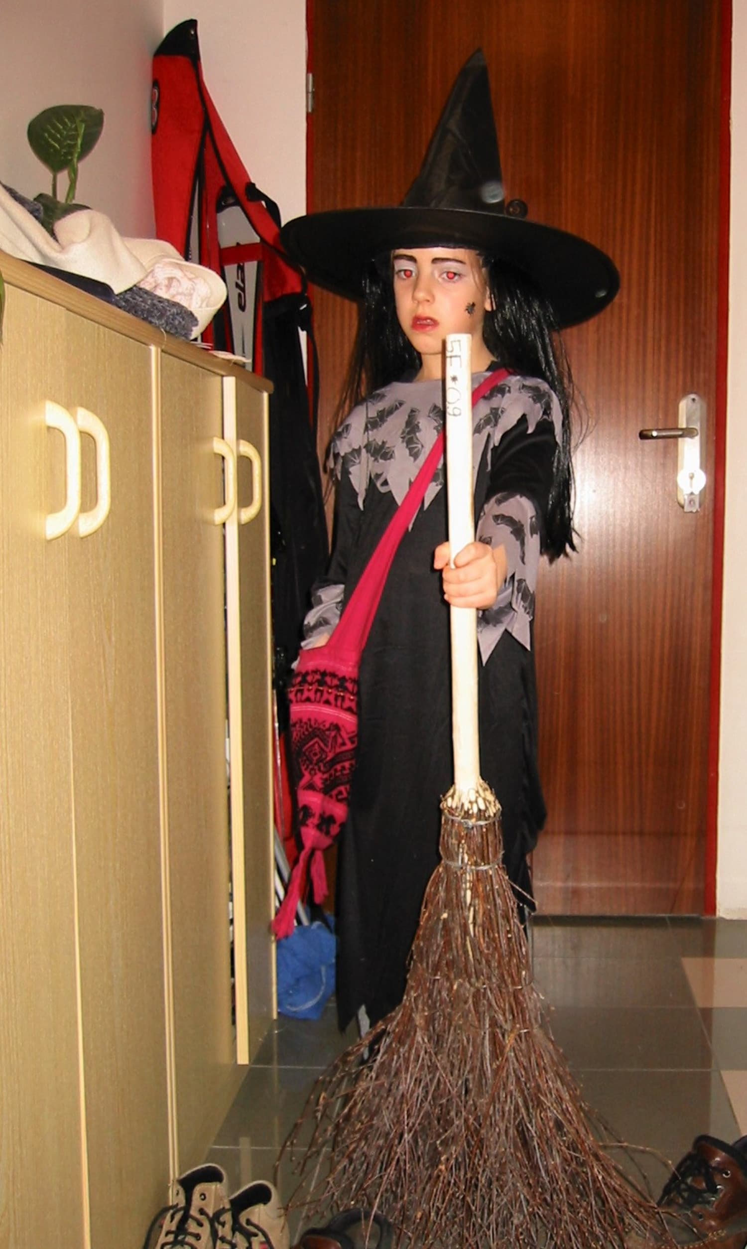 Pust - the Carnival traditions in Slovenia - Erratic engineeress