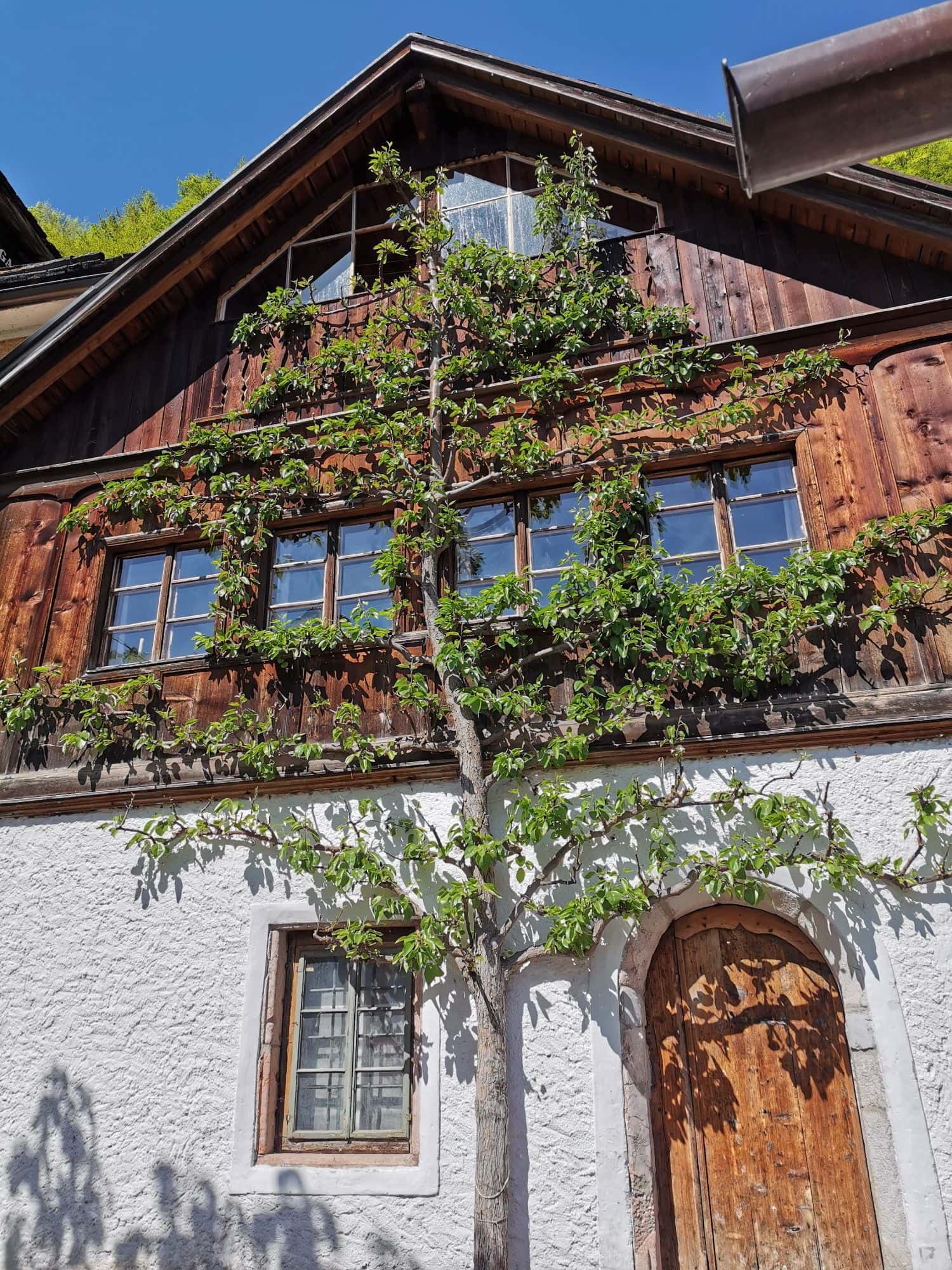 Hallstatt - Erratic engineeress
