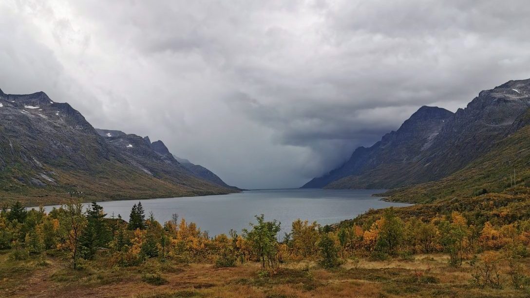 Norway - Erratic engineeress