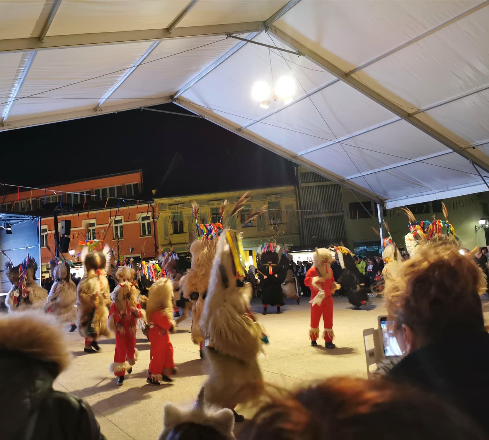 Kurentovanje: Pust (Carnival) in Ptuj - Erratic engineeress