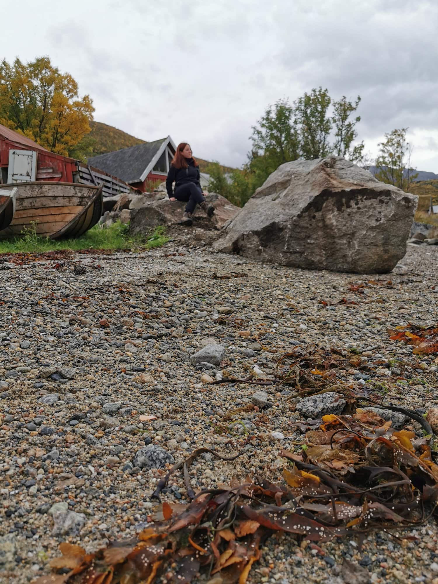 Ersfjord - Erratic engineeress