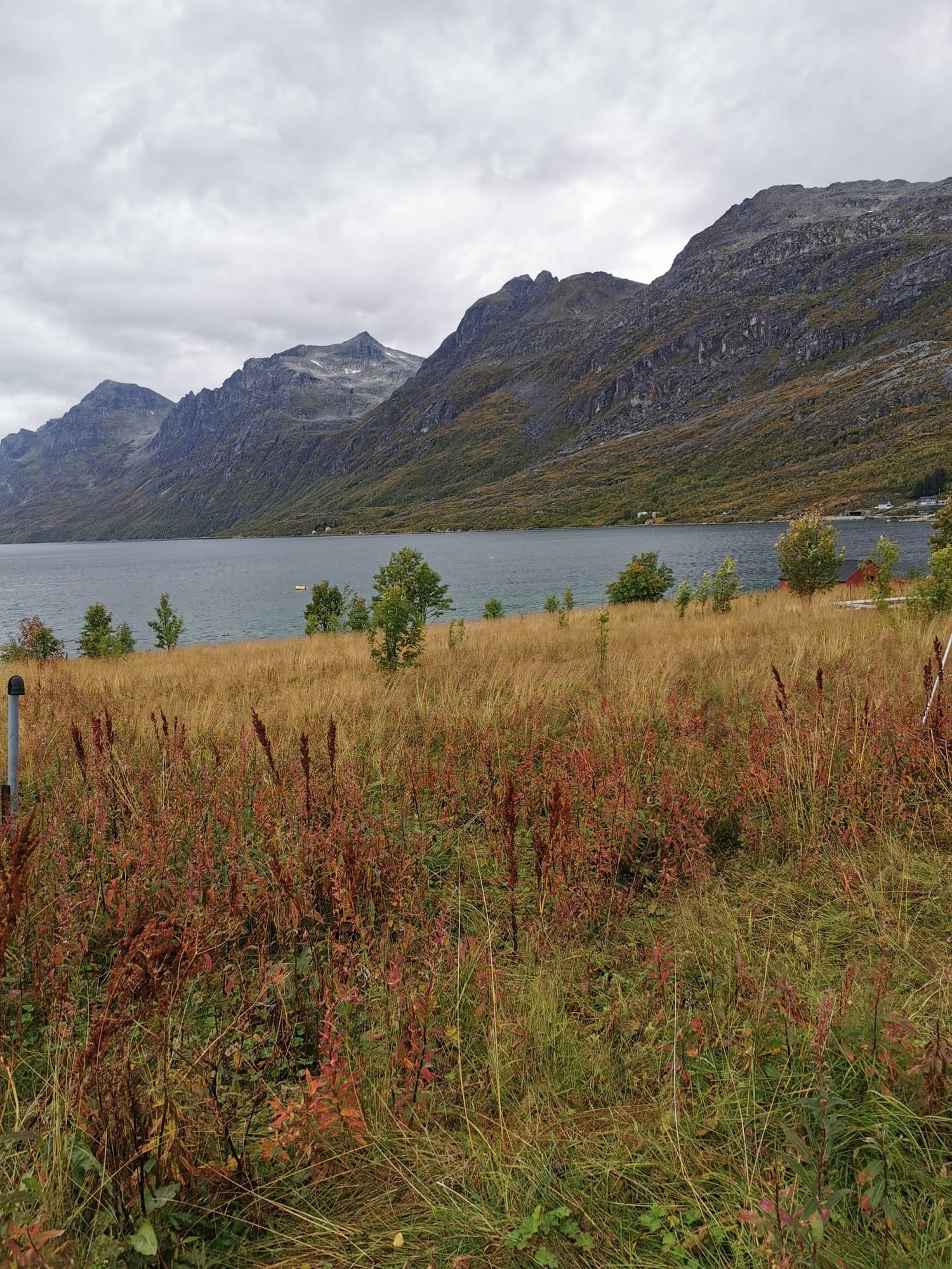 Ersfjord - Erratic engineeress