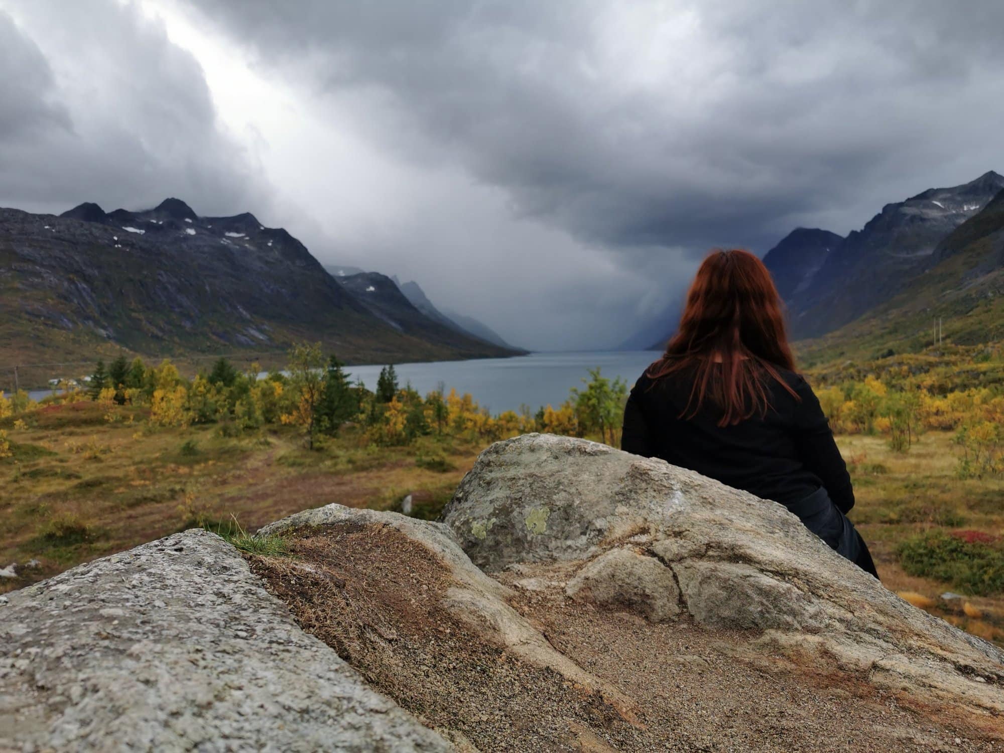 Ersfjord - Erratic engineeress