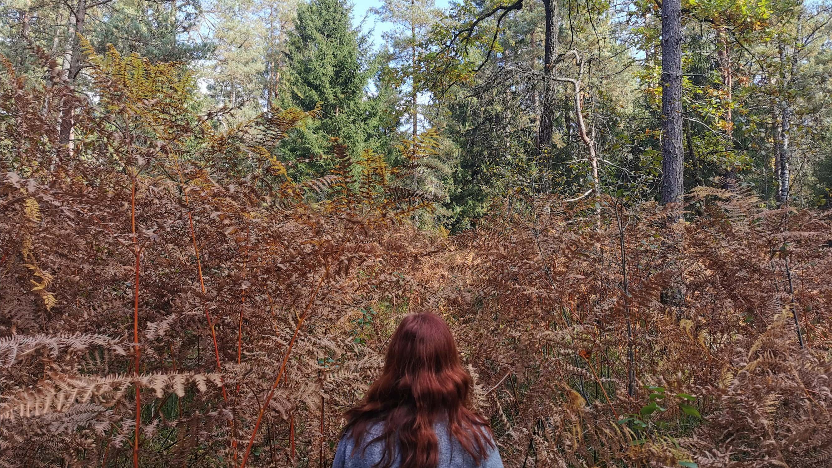 Deep thoughts and opinions - Erratic engineeress