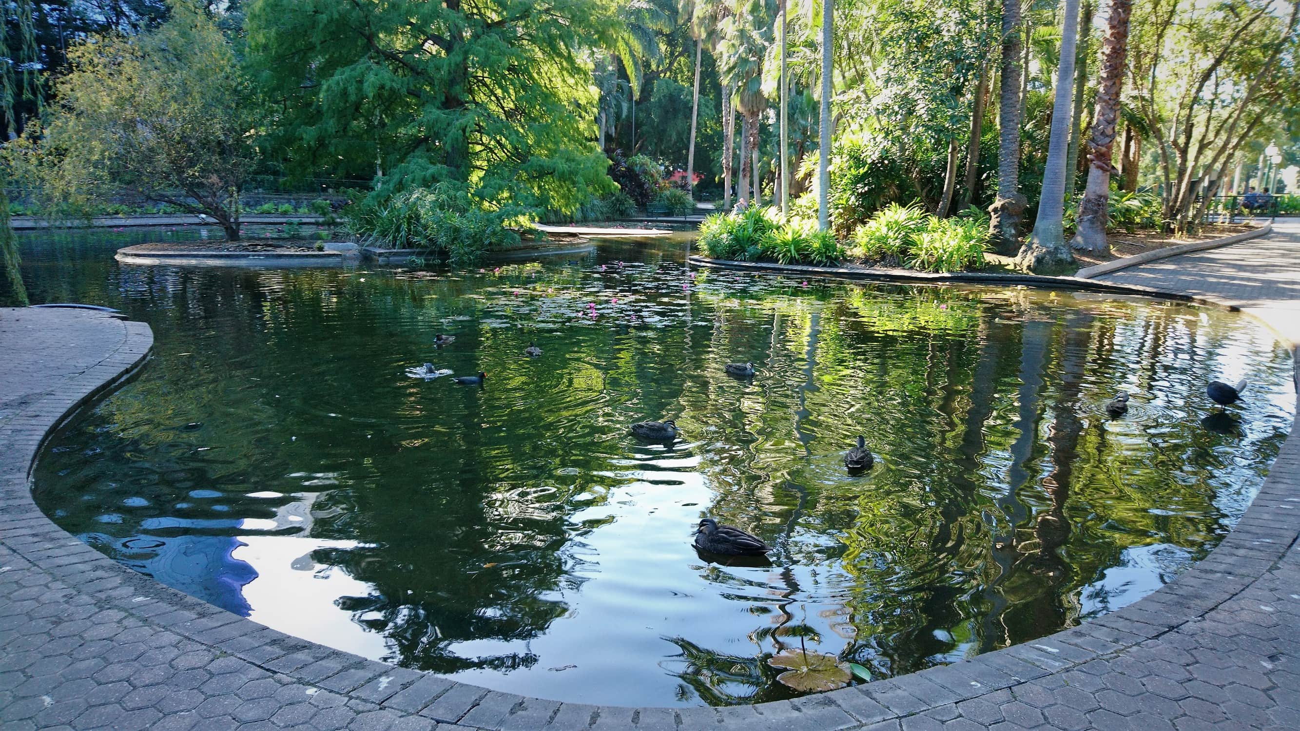 Brisbane - Erratic engineeress