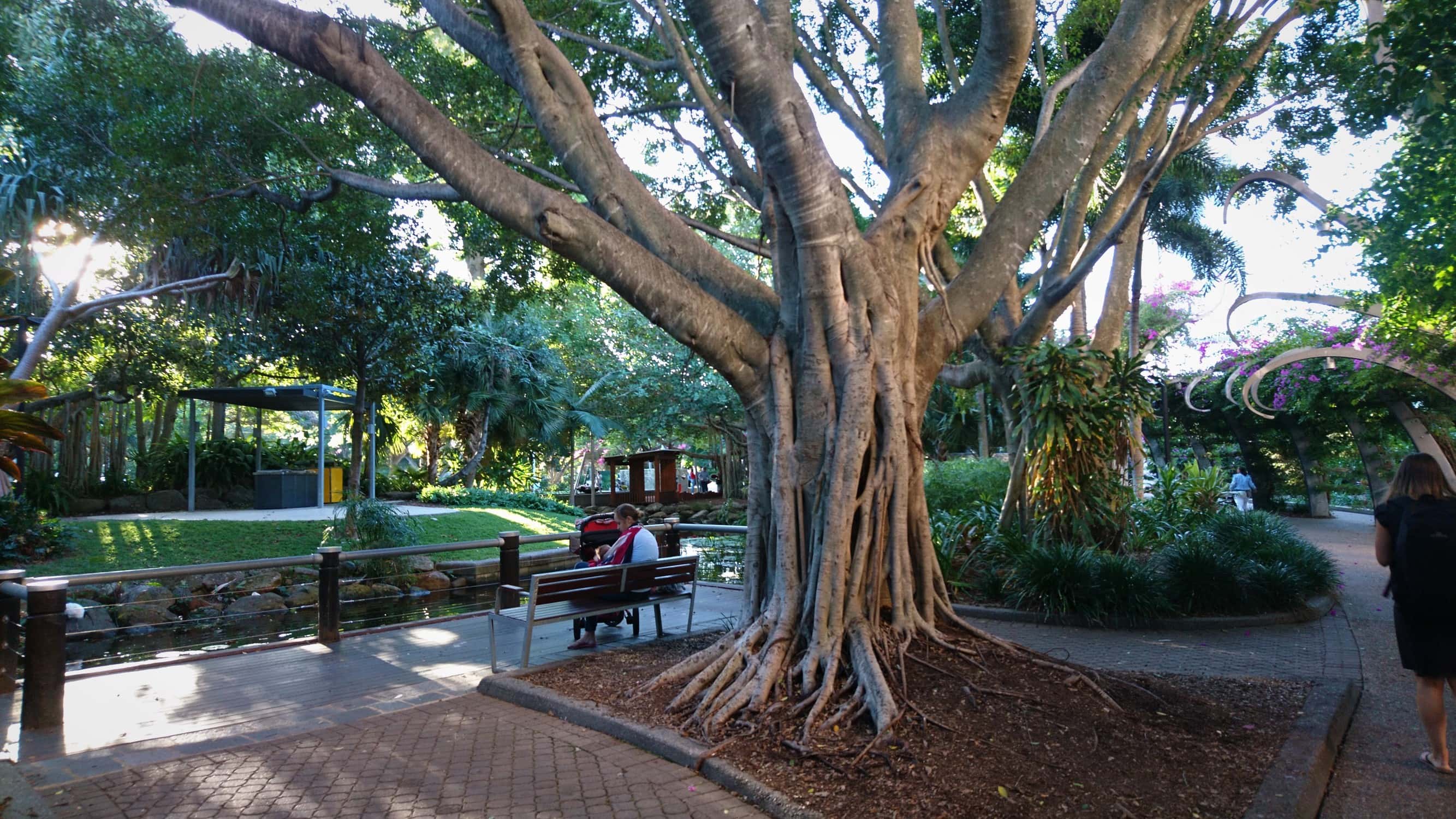 Brisbane - Erratic engineeress