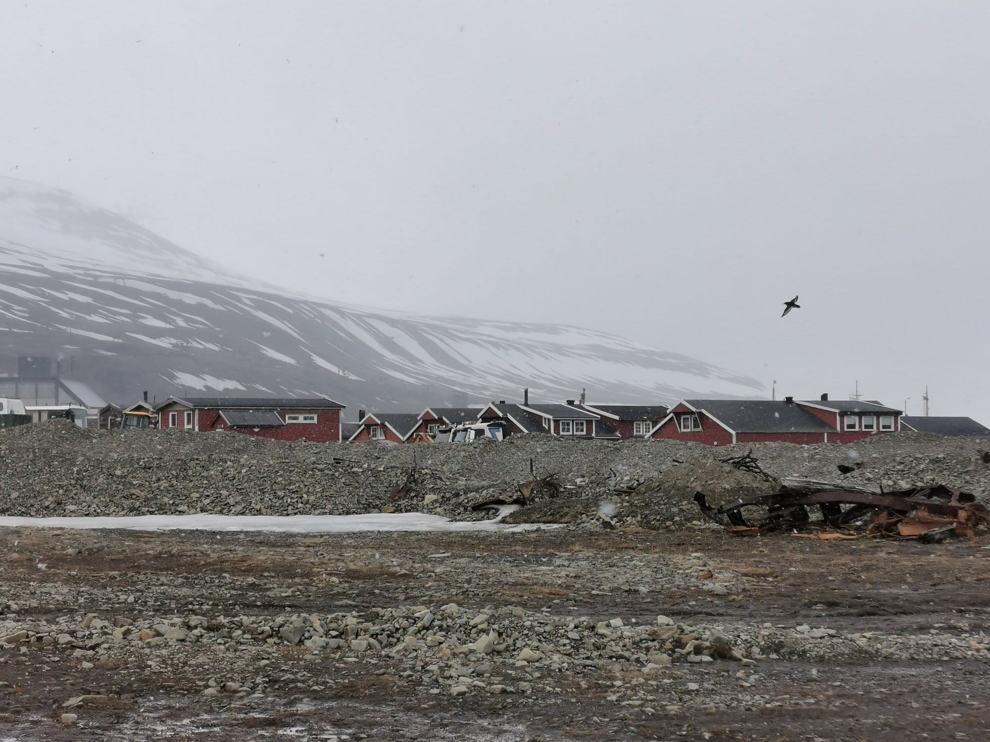 Couchsurfing on Svalbard: limited alcohol and climate change - Erratic engineeress