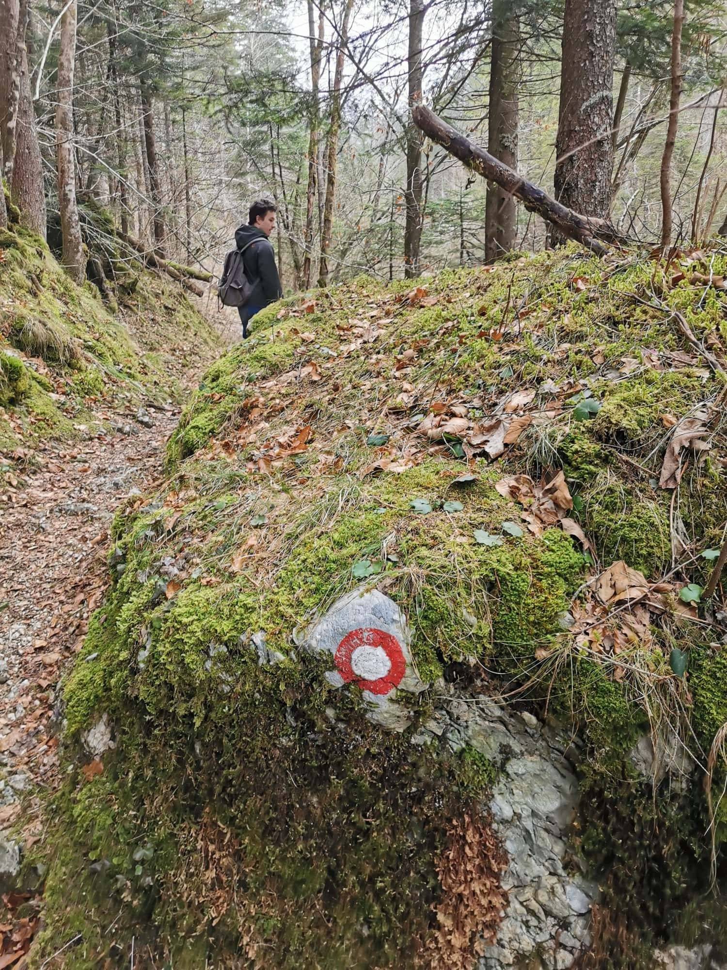 Predoselj gorge - Erratic engineeress