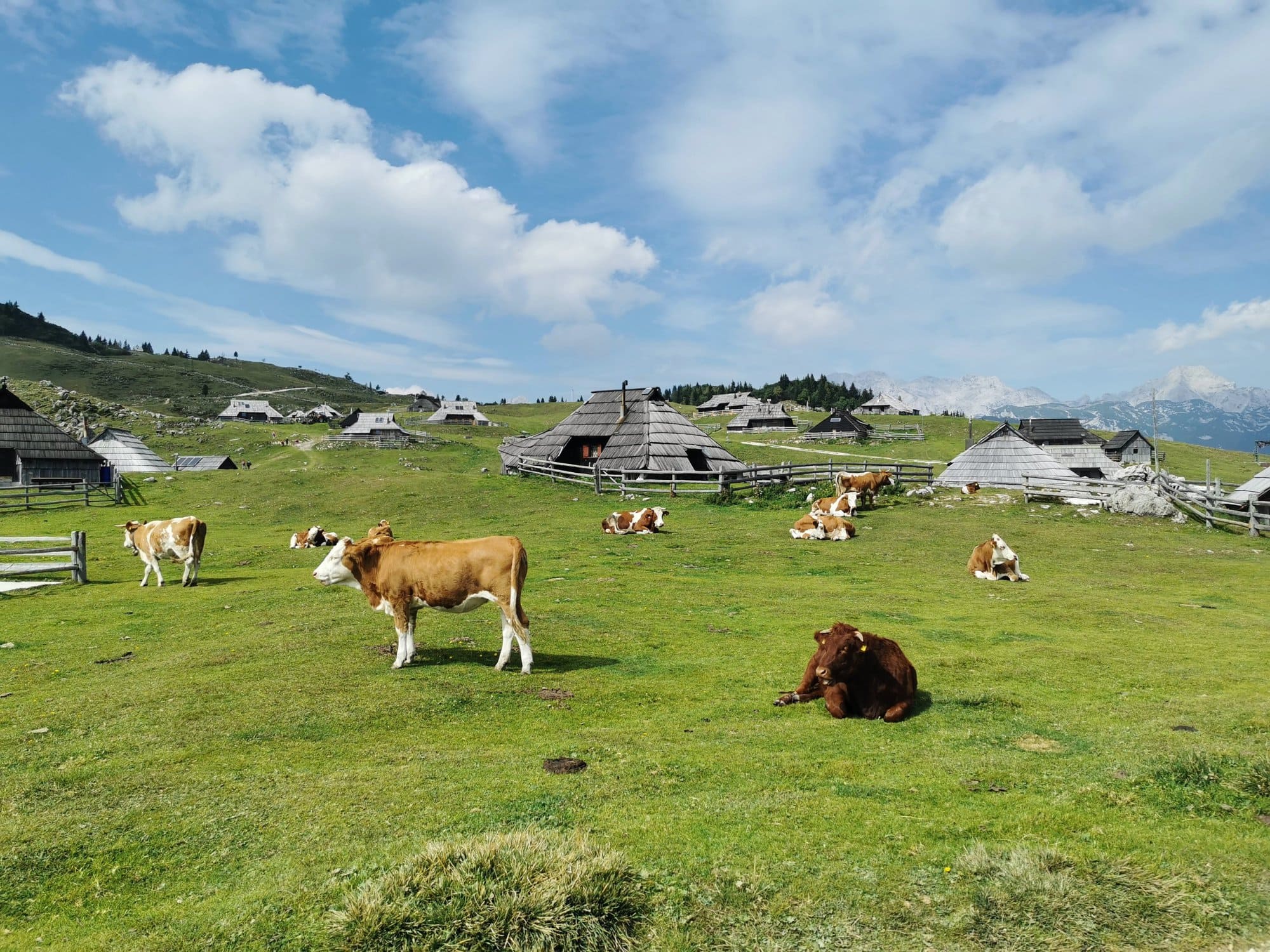 Velika planina - Erratic engineeress