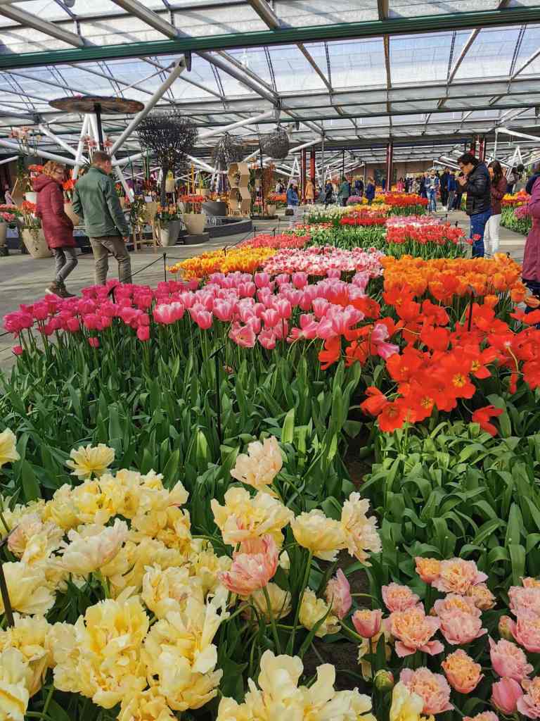 Keukenhof tulip gardens - Erratic engineeress