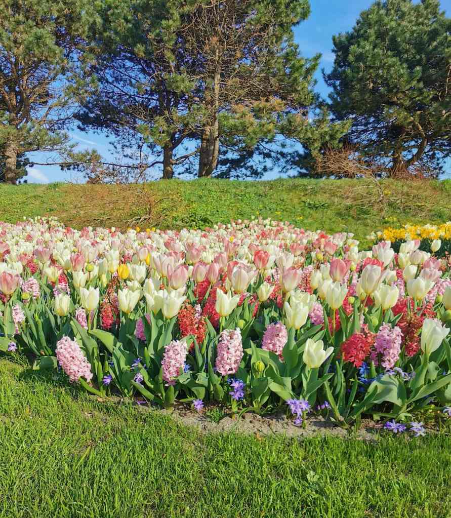 Keukenhof tulip gardens - Erratic engineeress